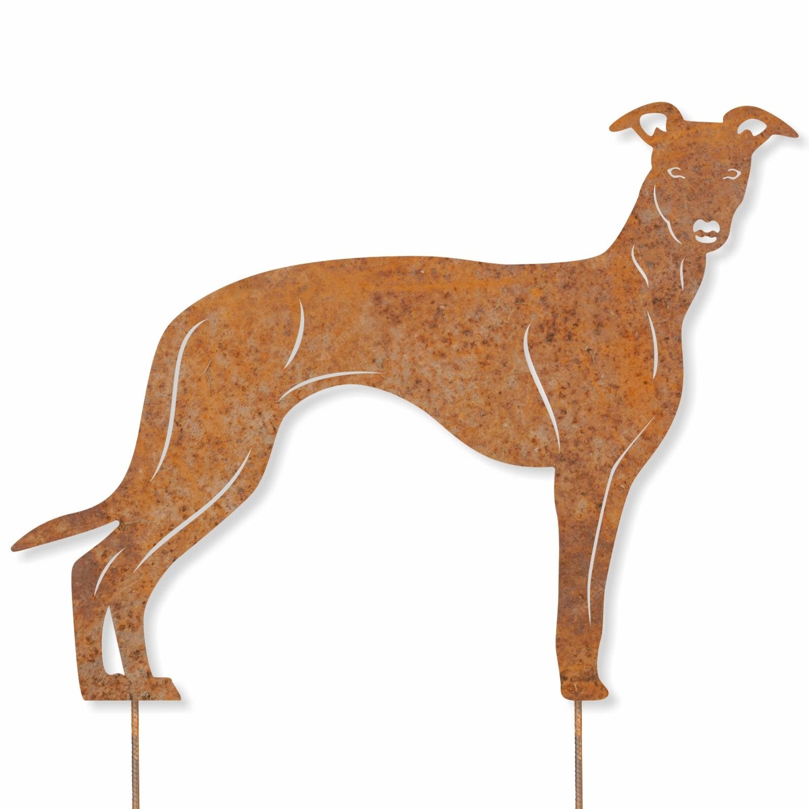 Metal Whippet – Metal Garden Shop